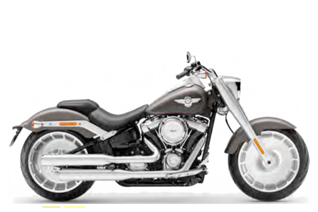 Harley Davidson Street Bob Motochecker